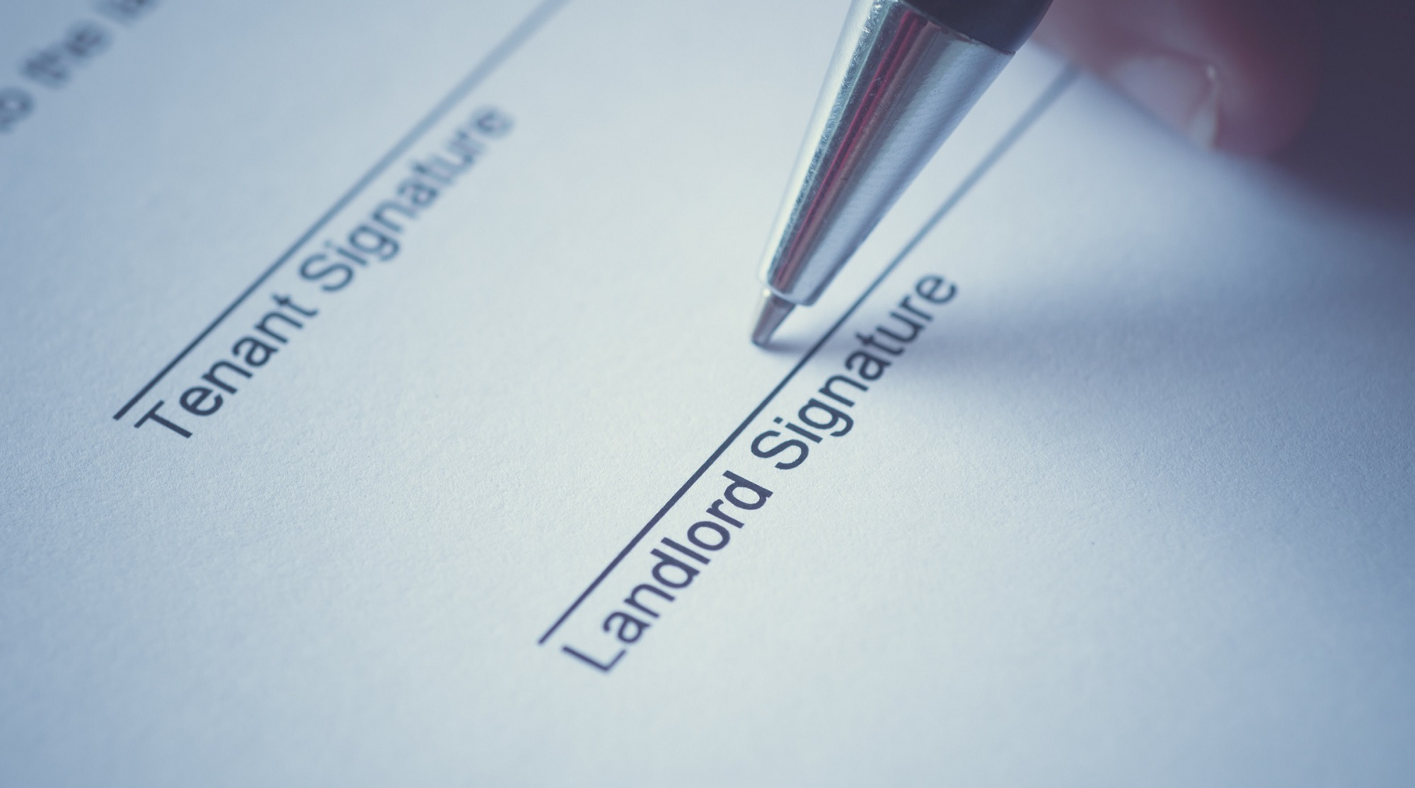 Tenancy agreement problems (and how to avoid them) | Whitegates