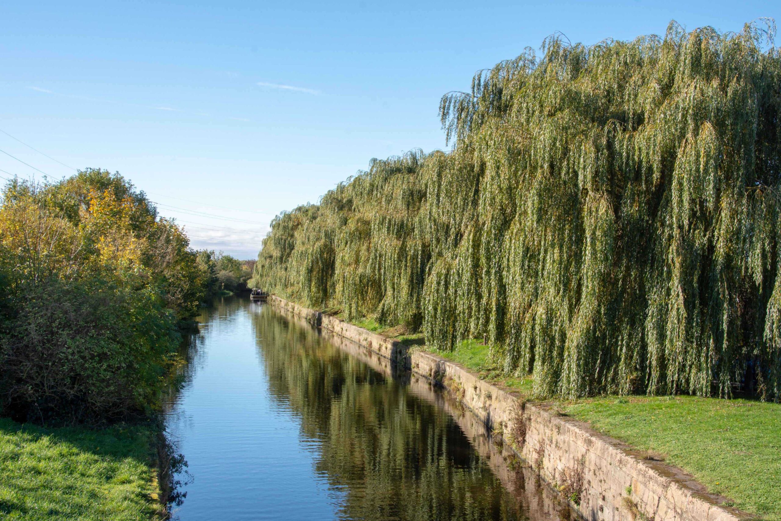 Beeston: Your ultimate area guide | Whitegates